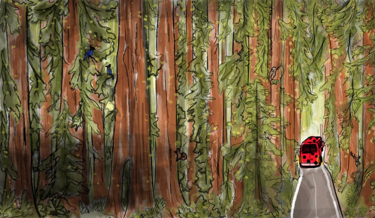 Contact Us - The Curiosity Lab...